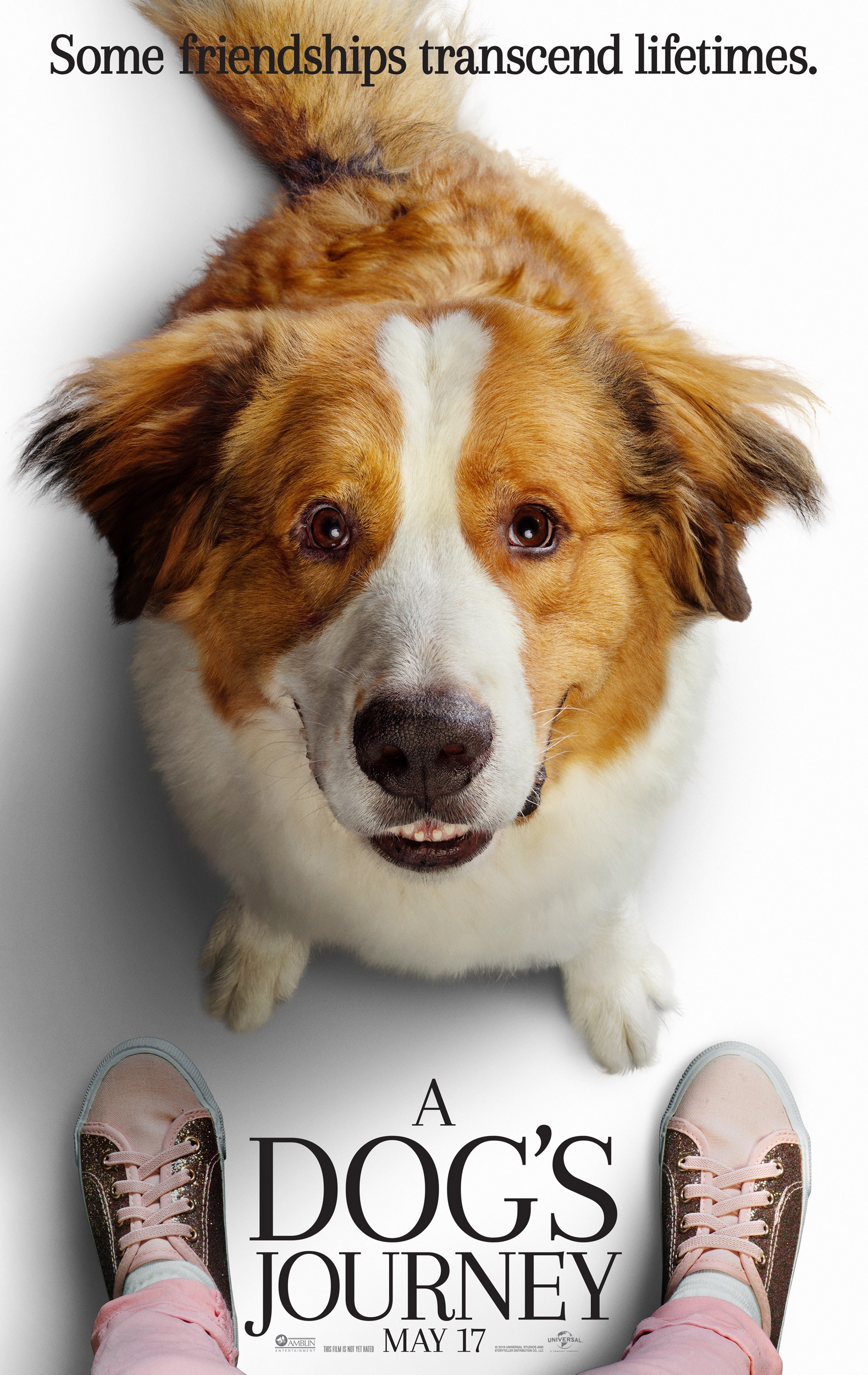 A Dog s Journey Movie Review Movie Review Mom A Dog s Journey Movie Review Movie Review Mom