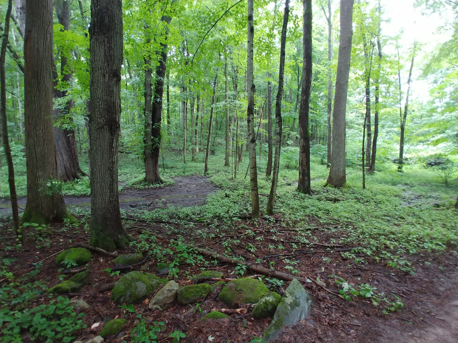 The Fighting Preacher movie review – Movie Review Mom