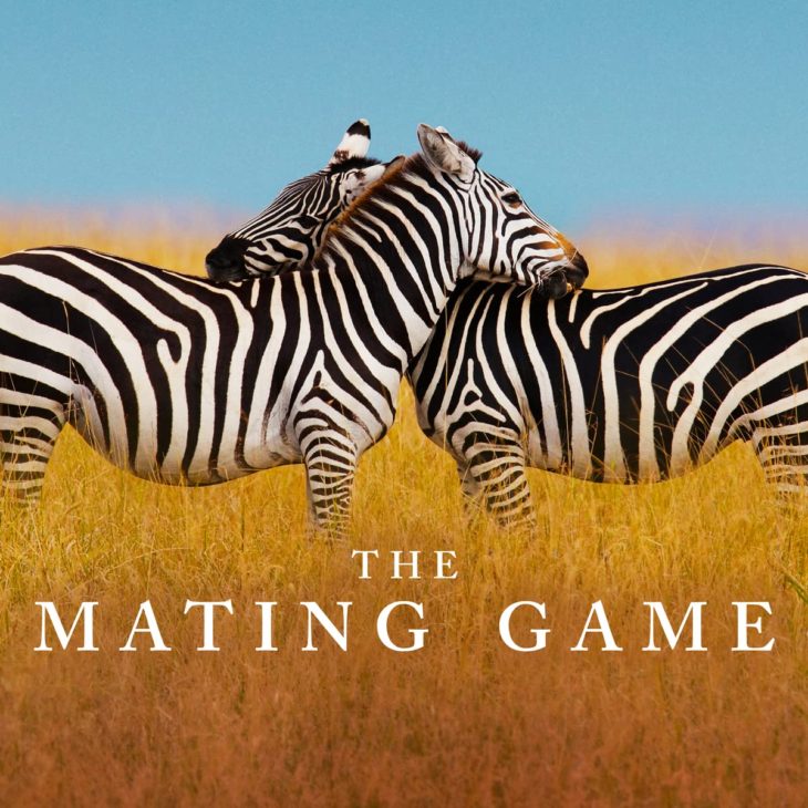 The Mating Game movie review – Movie Review Mom