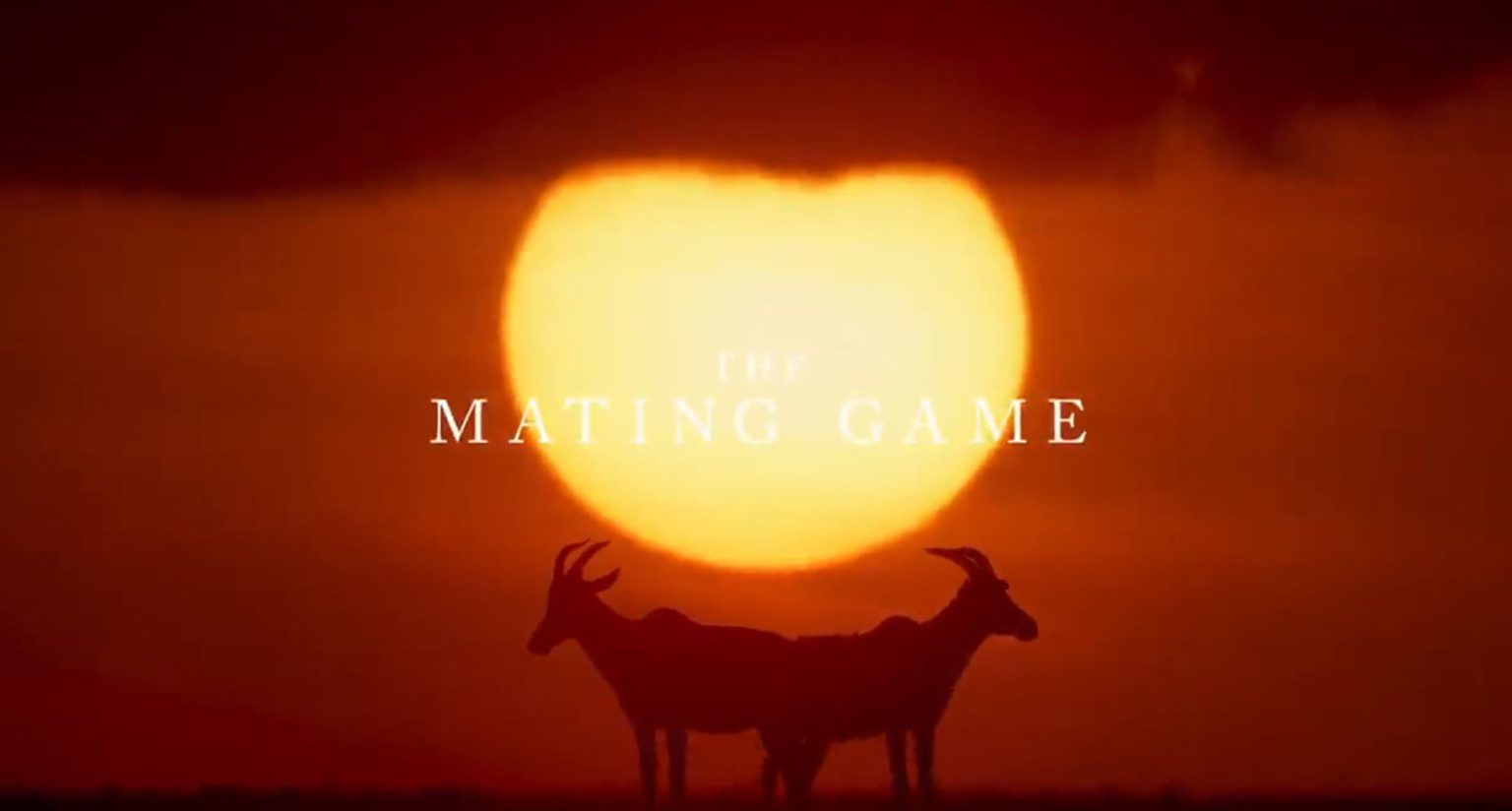 The Mating Game movie review | Movie Review Mom