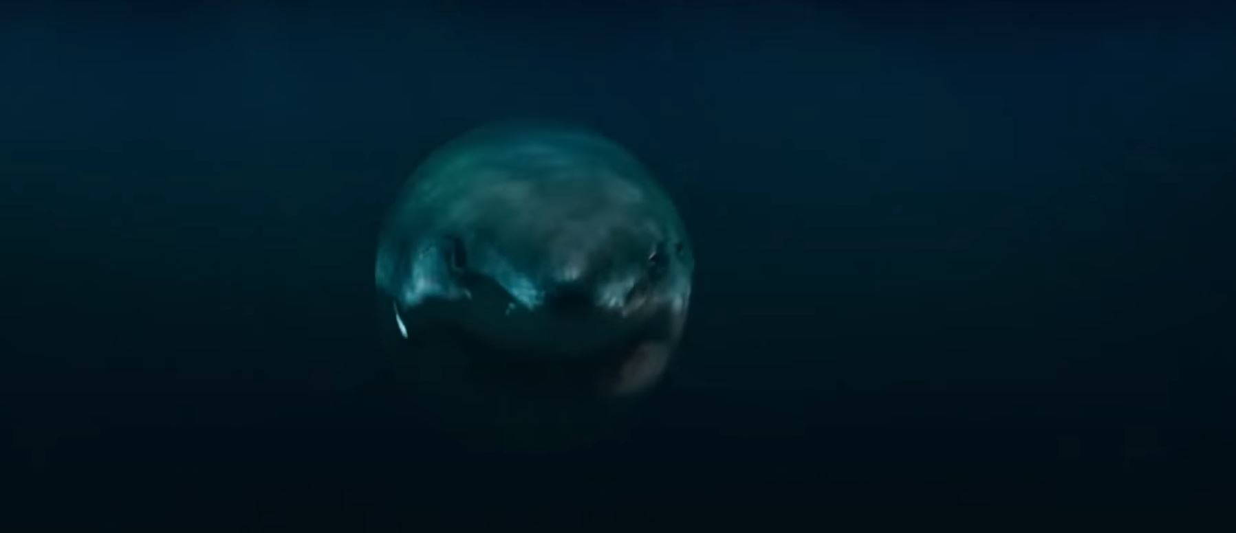 Shark Bait movie review – Movie Review Mom