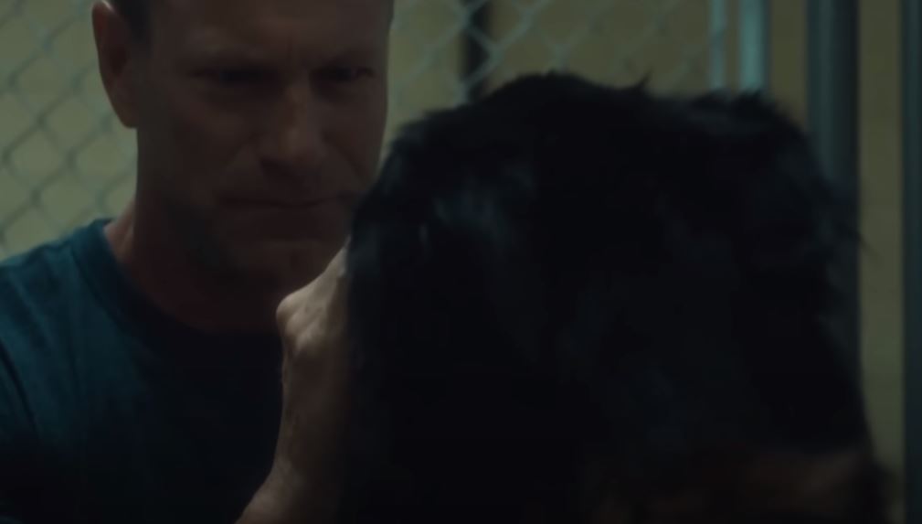 Muzzle movie review | Movie Review Mom